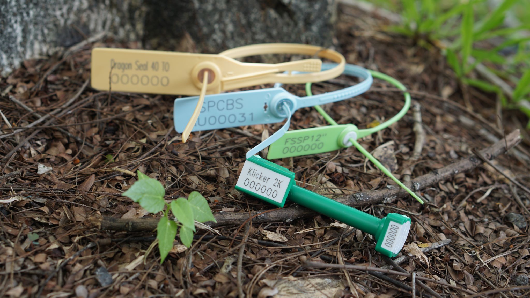Green Solutions: Evolution into Eco-Conscious Seals
