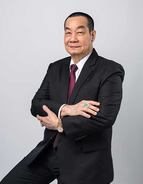 Board of Directors – Mega Fortris